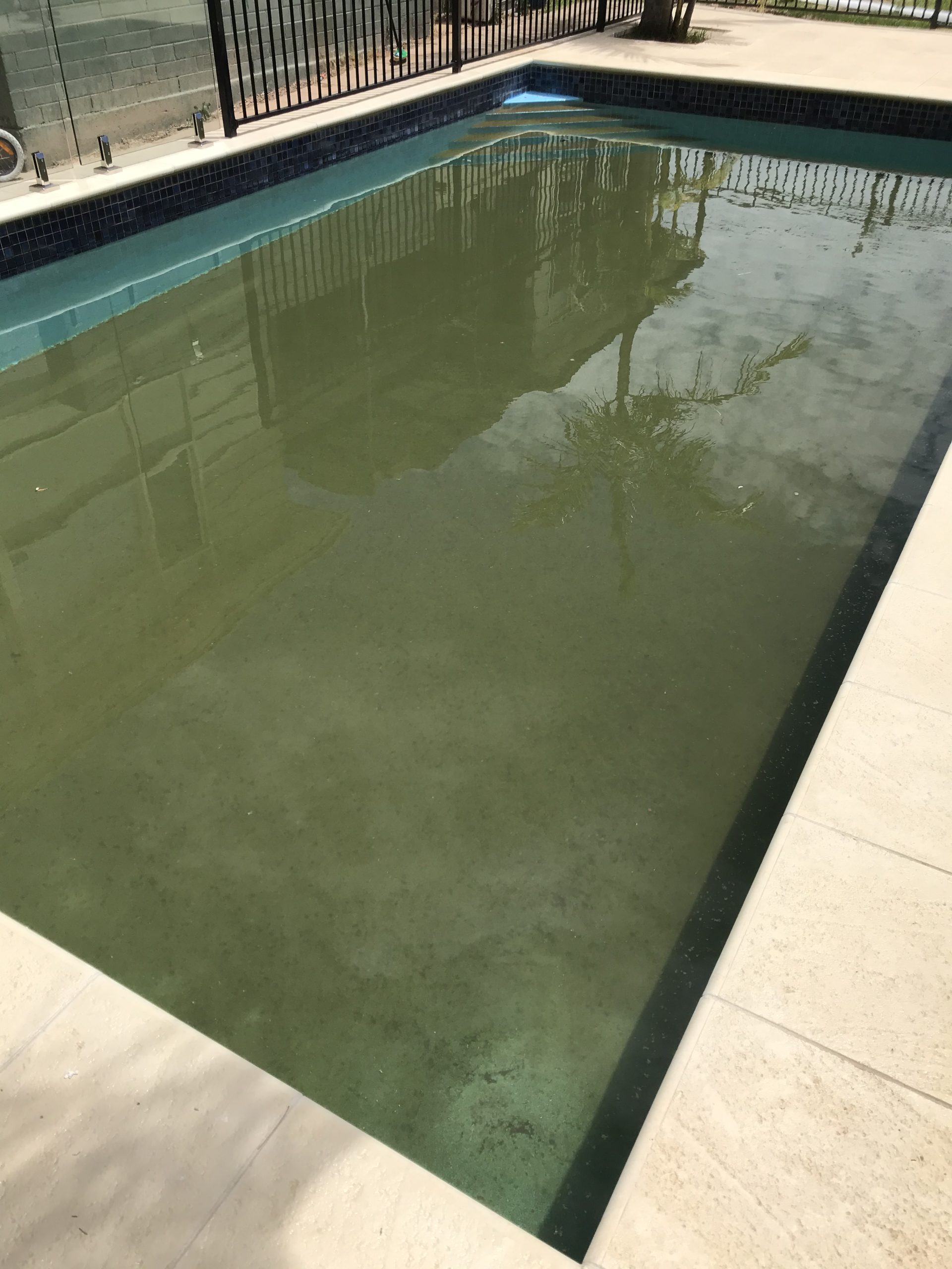 Swimming Pools - Andys Water